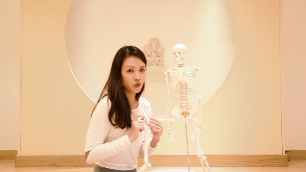 Human Anatomy with Teacher Samantha / 人體解剖學 → Further Reading on Spine ...